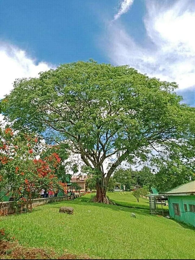 Retracing My Lumbatan Roots: A Journey Through History, Culture, and ...