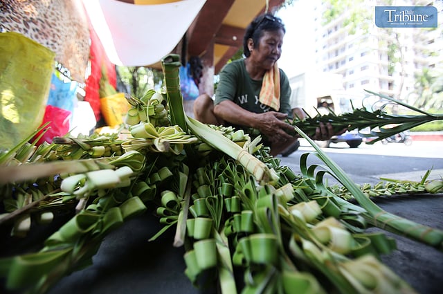 Palaspas for sale this Sunday