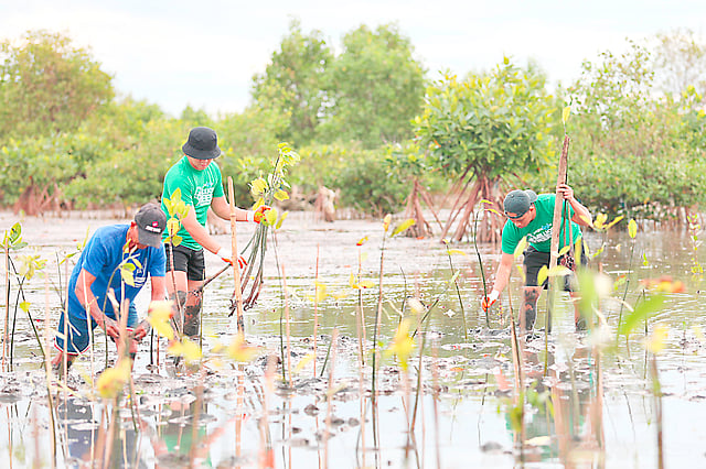 DENR tree planting project