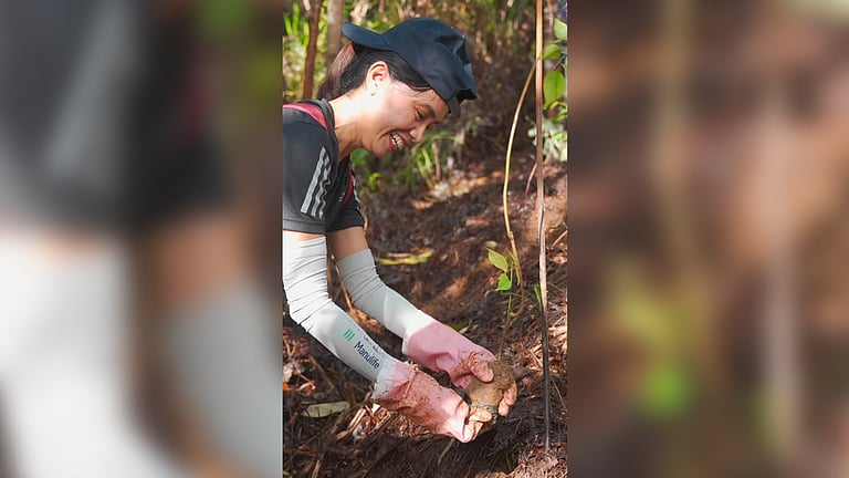 Haribon, Manulife set mangrove planting in Real