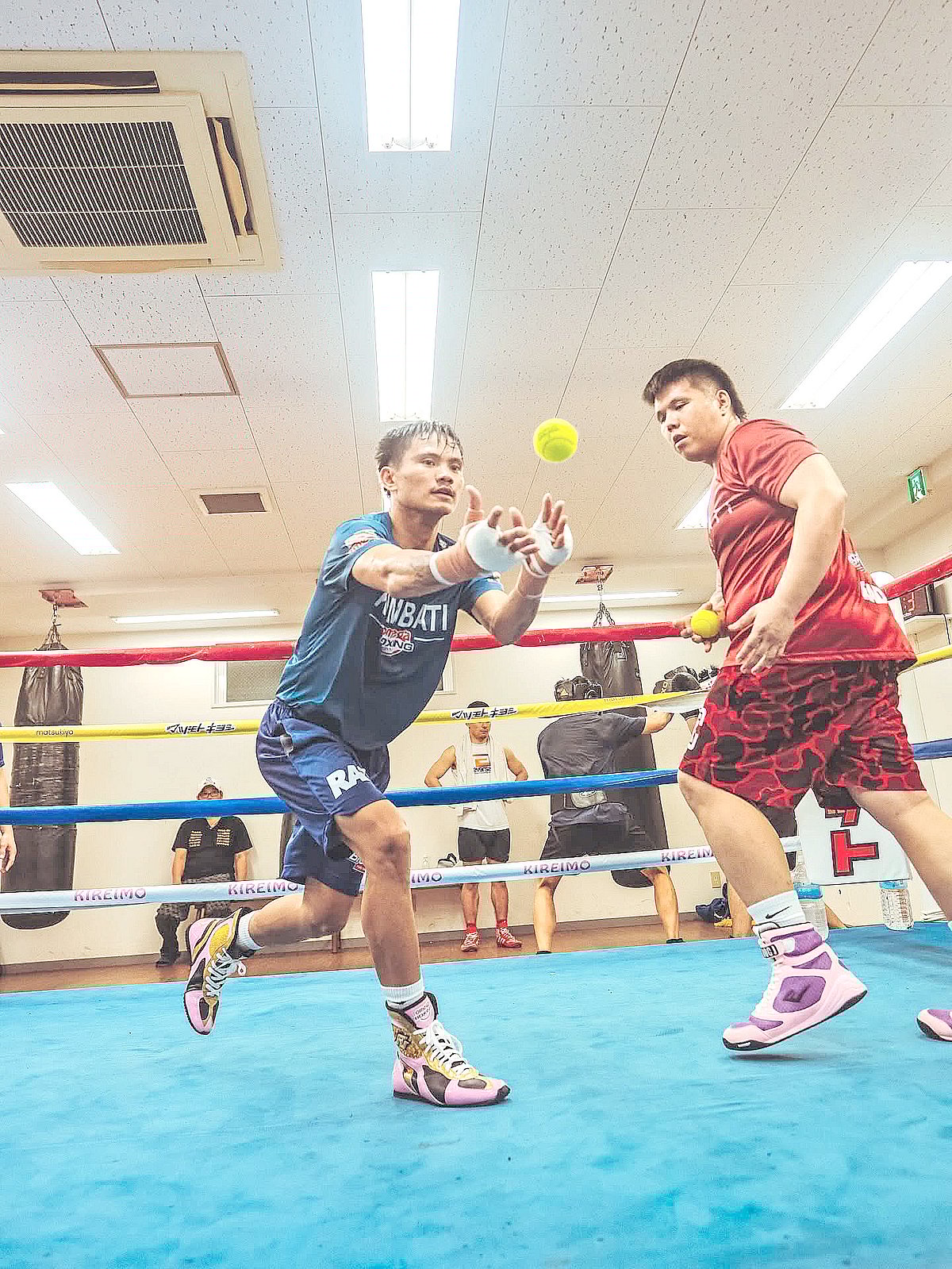 Araneta using odd training technique