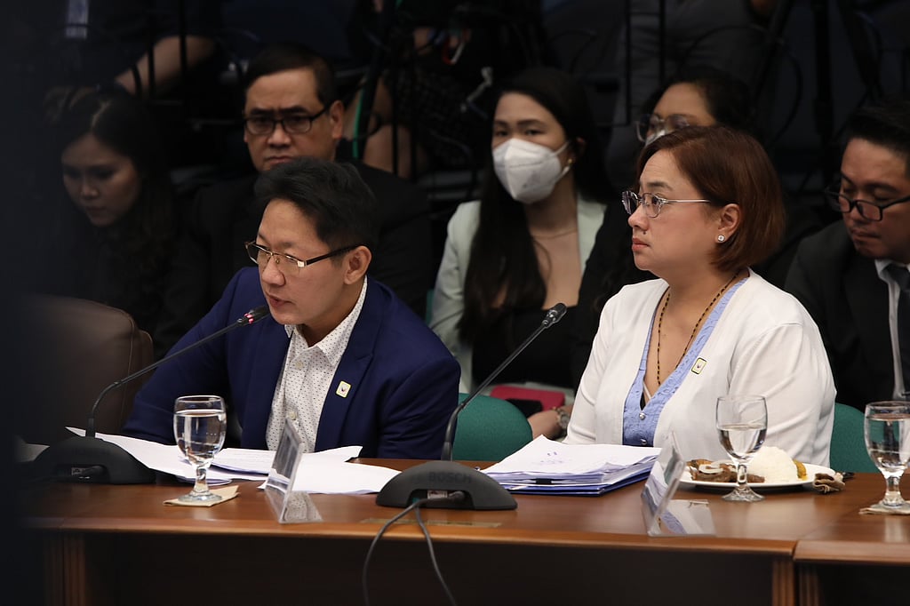 Discaya alleges lawmakers ‘usually’ demand 25% cut in flood projects