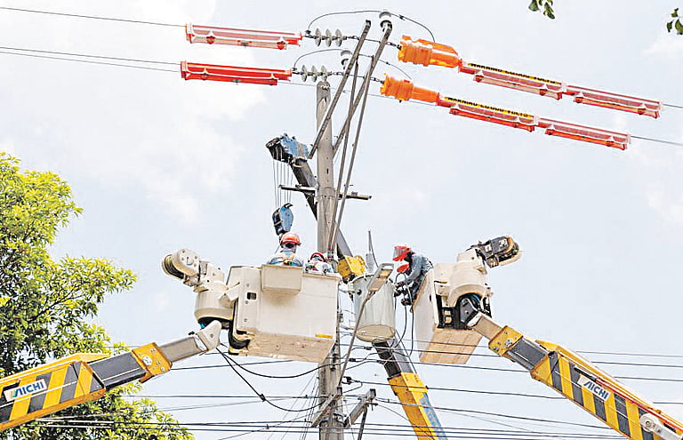 Meralco powers sustainability through ‘Greening the Network’ Program