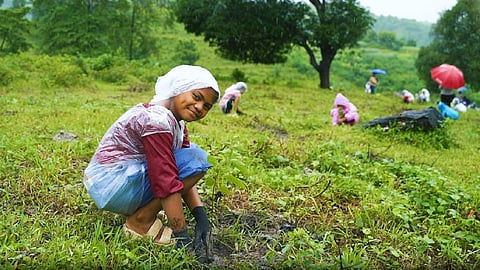 Prime Infra plants 1,700 trees in Pampanga, Cebu under ‘Prime Kalikasan’