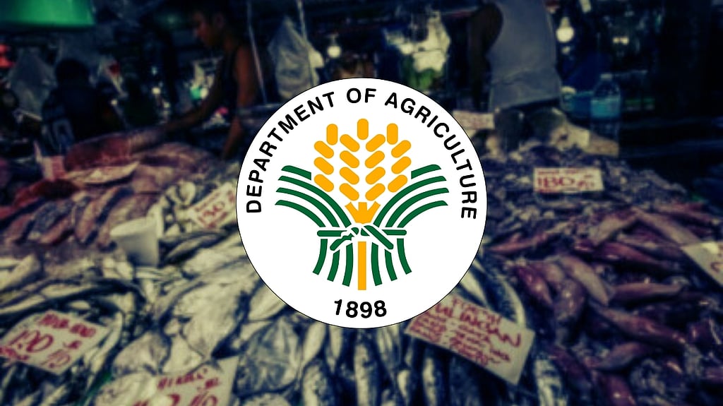 DA wants tighter controls on fish imports
