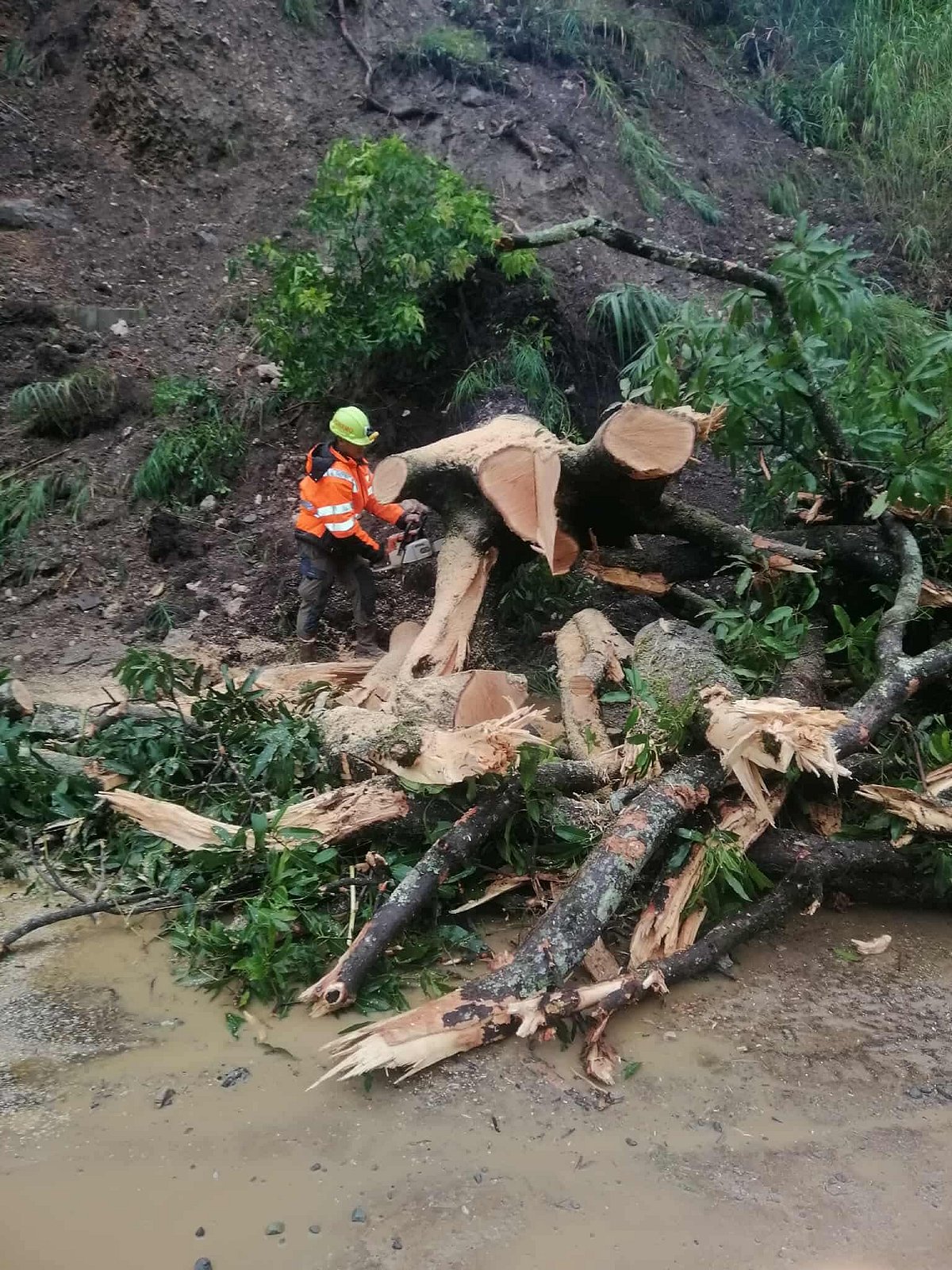Mountain Province cleans up mess left by 'Nando'