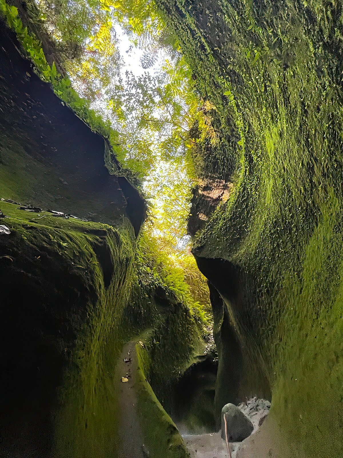 Tutulari Avatar Gorge: The Philippines’ own ‘Avatar’ world