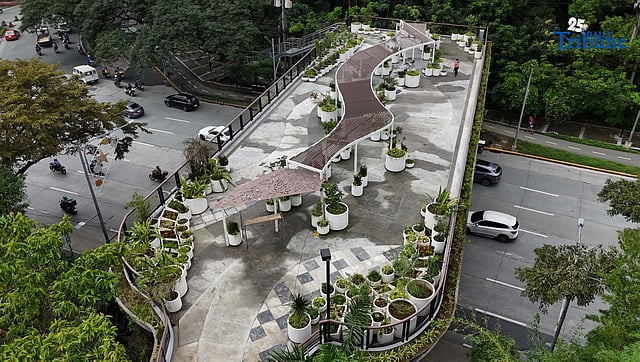 QC Circle Promenade Landscape