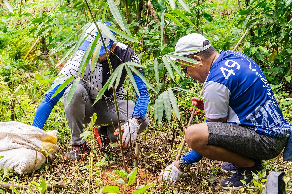 Biliran planting 5,000 bamboos for flood defense