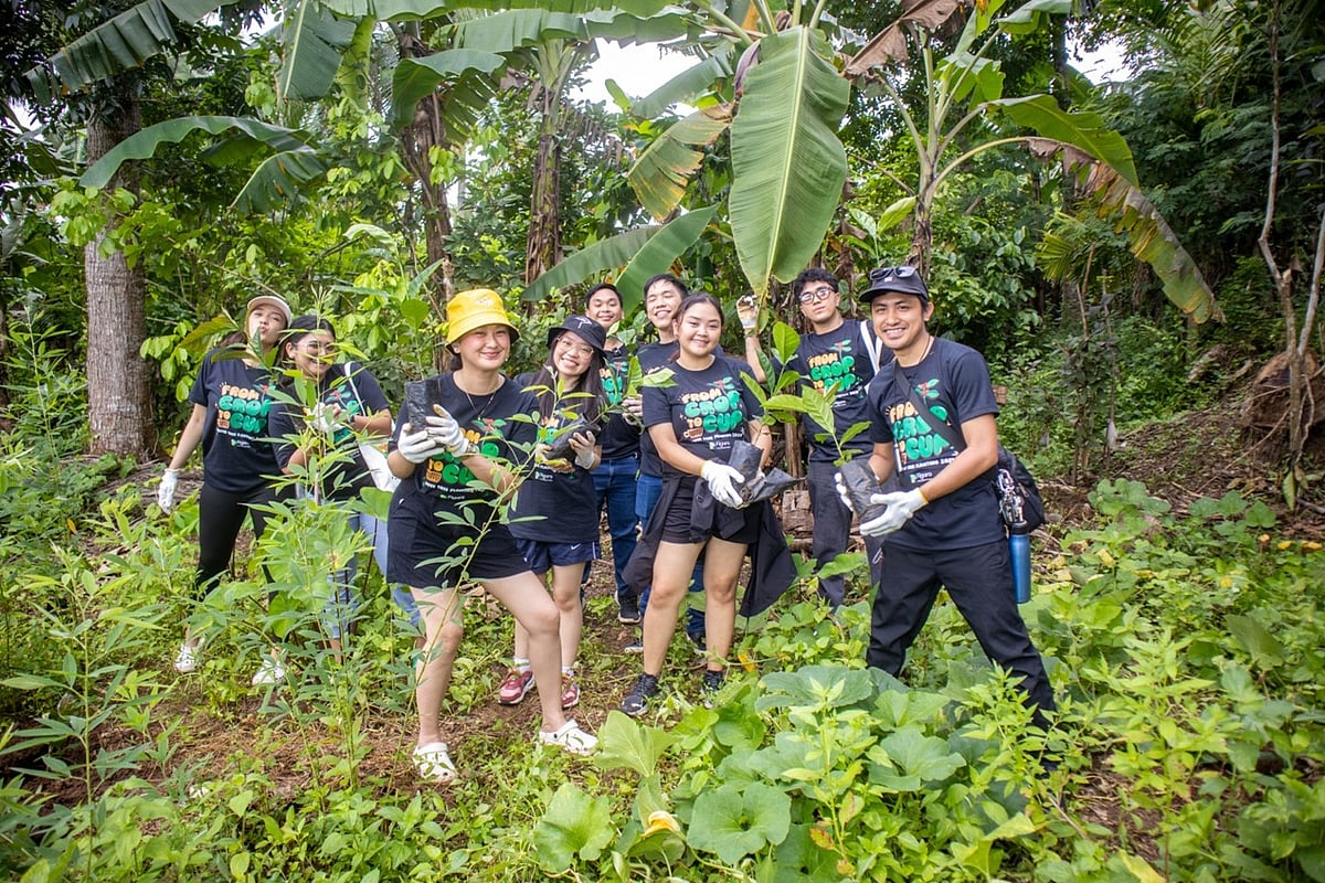 Figaro Foundation plants 1,000 coffee trees to revive Batangas’ coffee ...