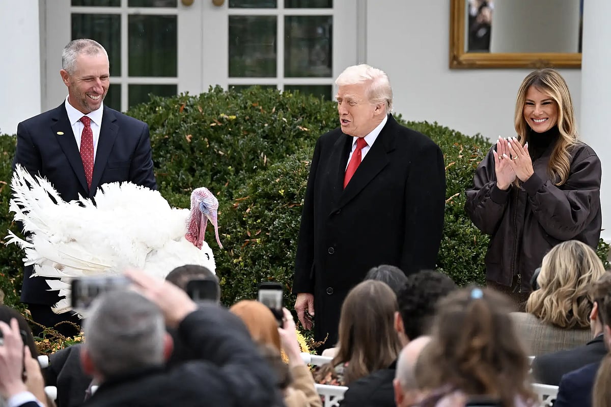 Trump turns Thanksgiving turkey pardon political, slams Democrats and ...