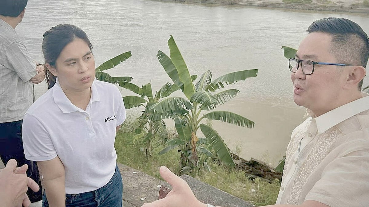 Swift action on damaged Arayat dike sought