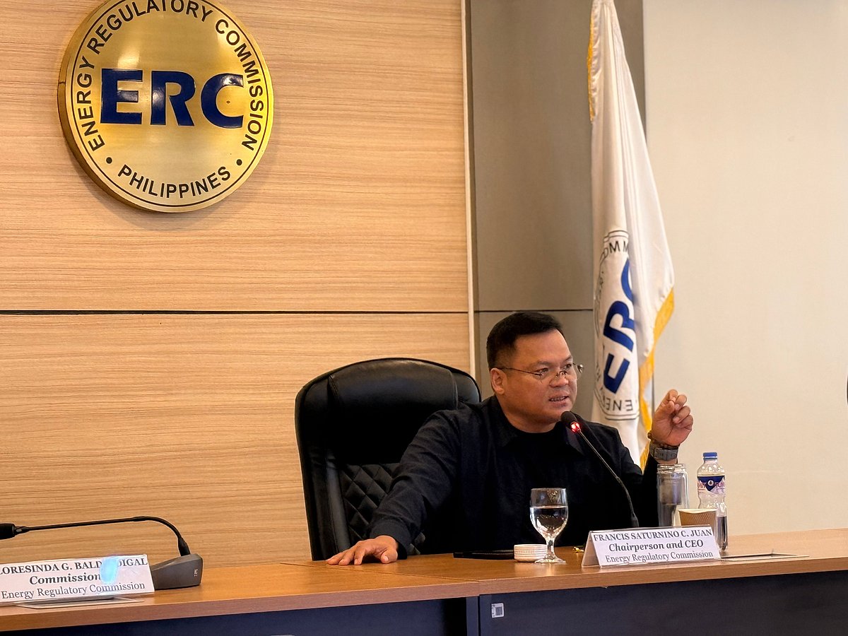 ERC presses power industry to back WESM fix