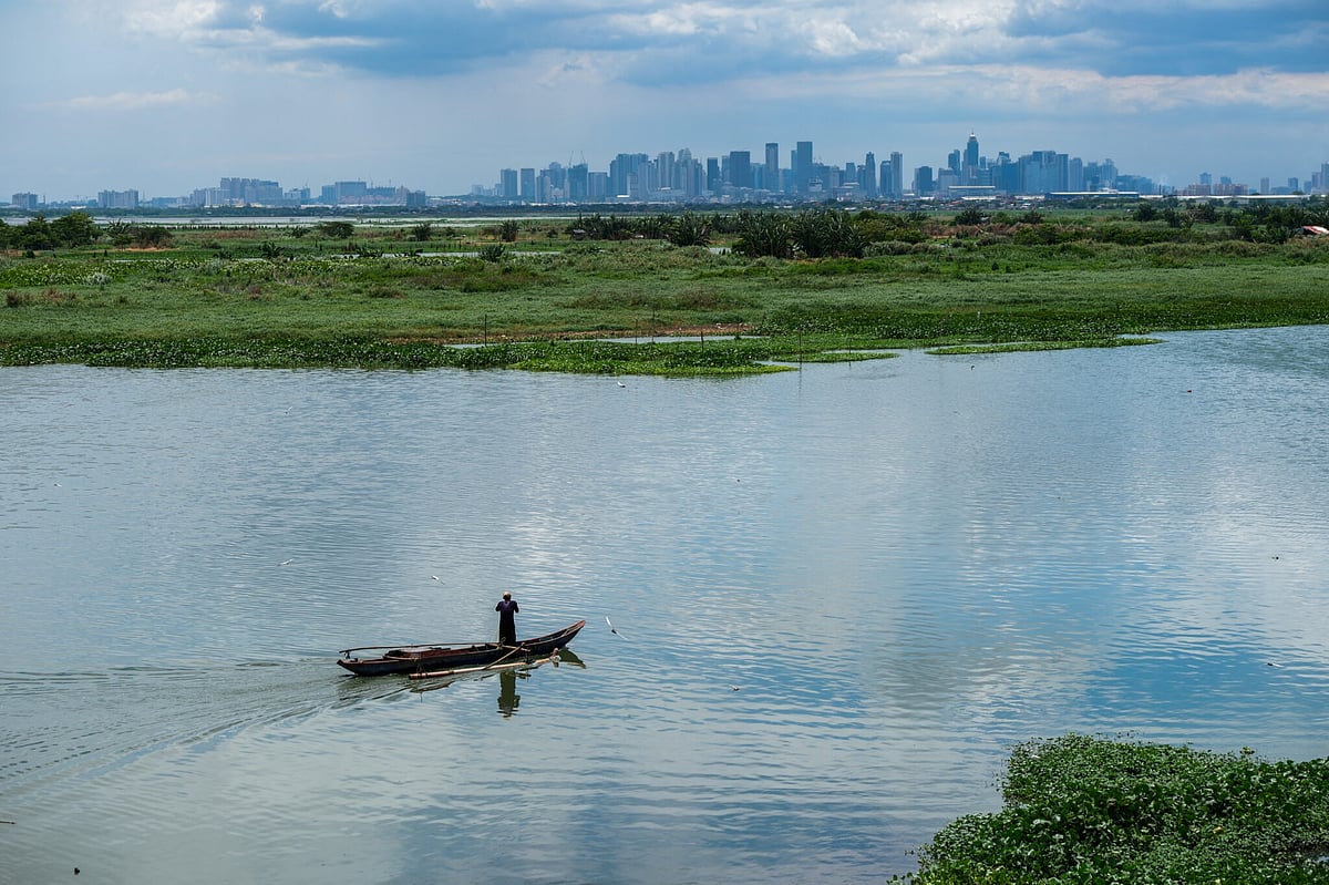 Laguna Lake to open for aquaculture growers