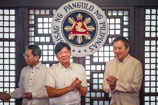 Milestone Mindanao-Visayas Interconnection Project now open