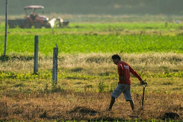 Philippines Agriculture Department Steps Up Early El Niño Preparations ...