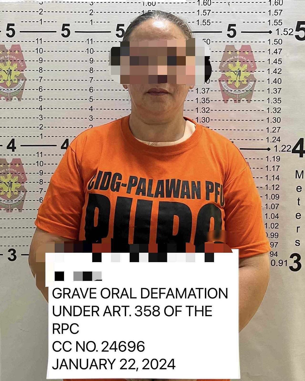 Former university dean arrested in Palawan