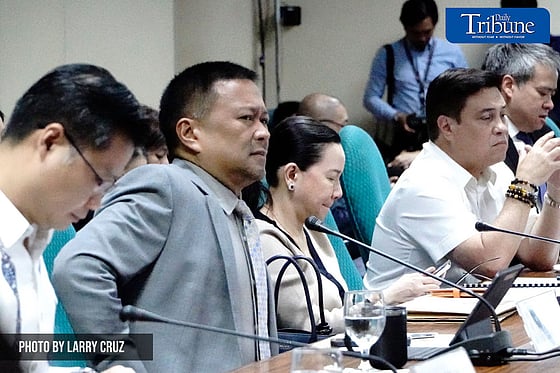 Senate hearing on Bulacan Airport City Special Economic Zone and ...