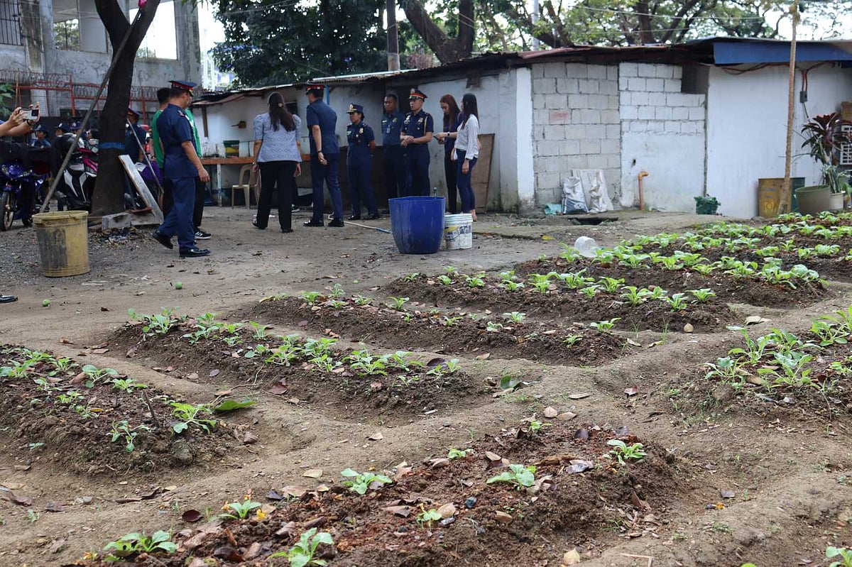 QCPD launches 'Project Green' at Camp Karingal