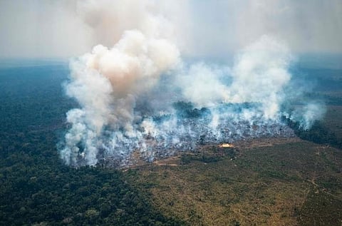 Over 17,000 hectares destroyed in Colombia forest fires