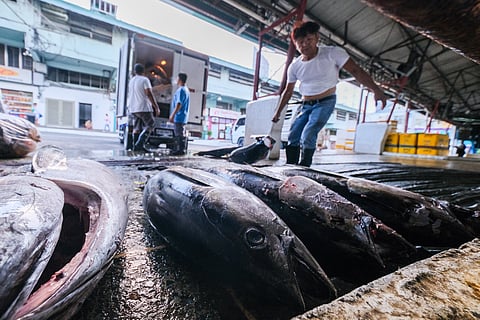 BFAR backs blacklisting of fish smugglers