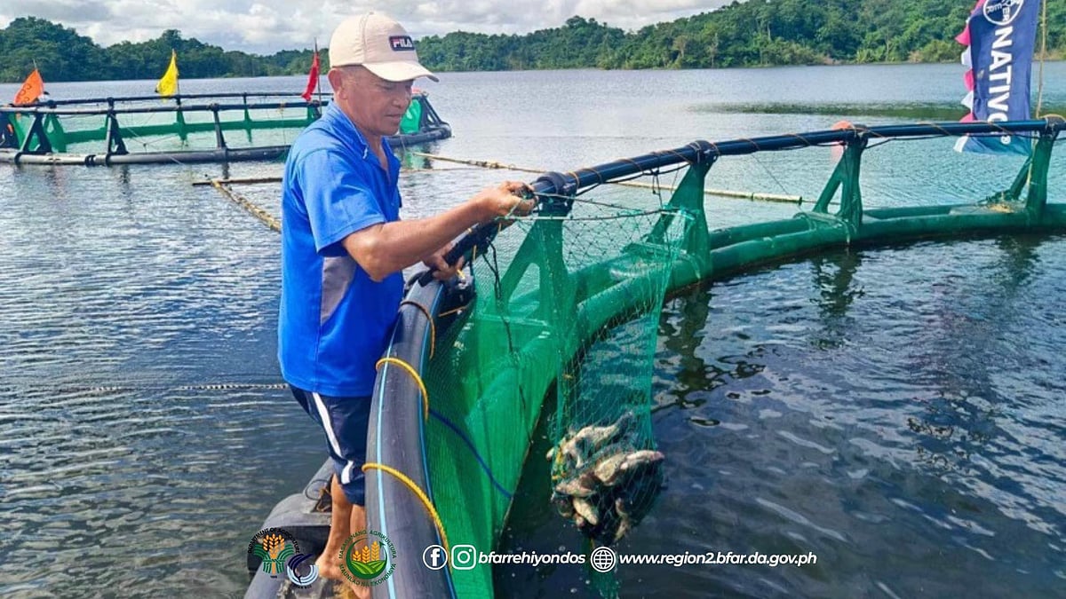 Phl fish production on upswing — BFAR