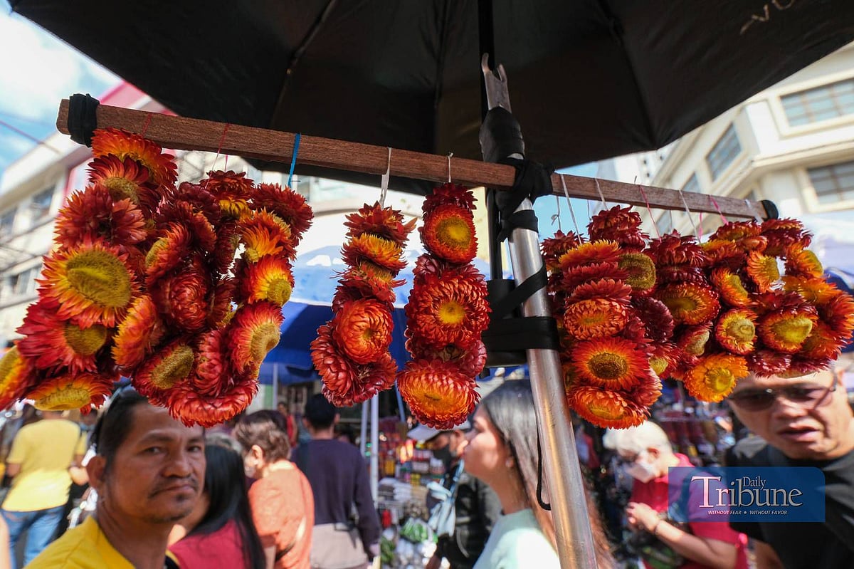 An everlasting gift on Valentine's Day