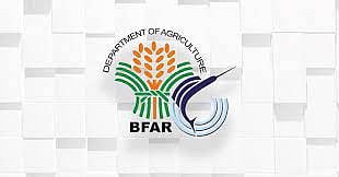 BFAR 7’S Central Bangus Hatchery in Bohol leads regional fisheries growth