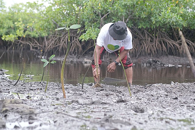 One Meralco Foundation Commits to A Greener by Planting 125,000 ...