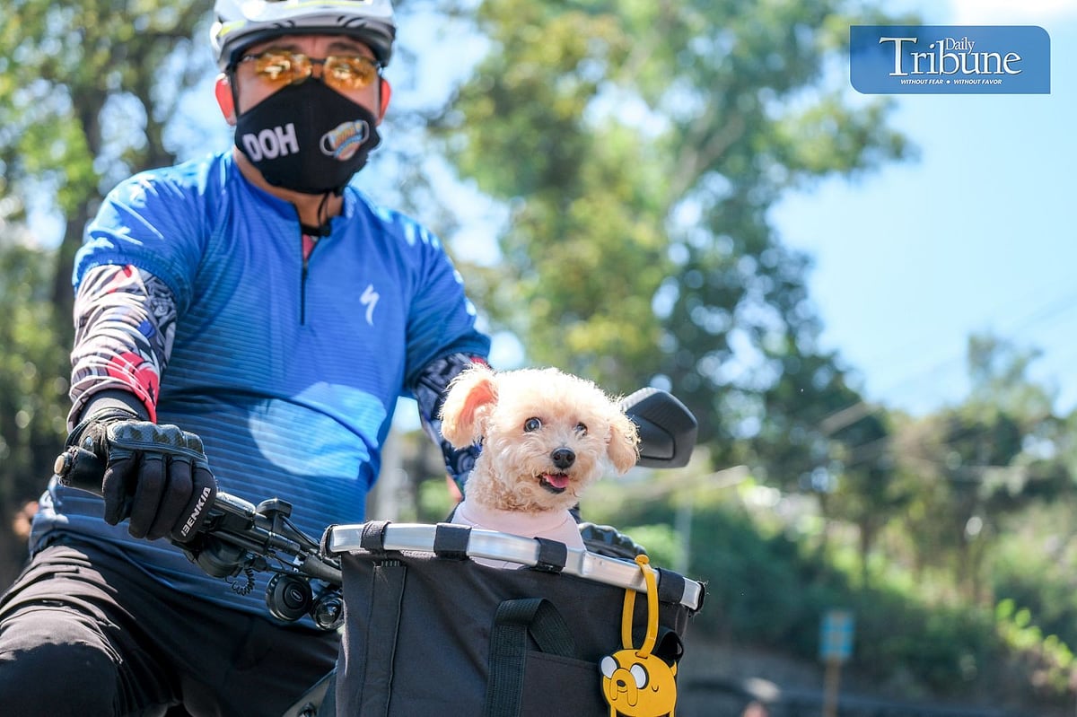 Puppy bike ride