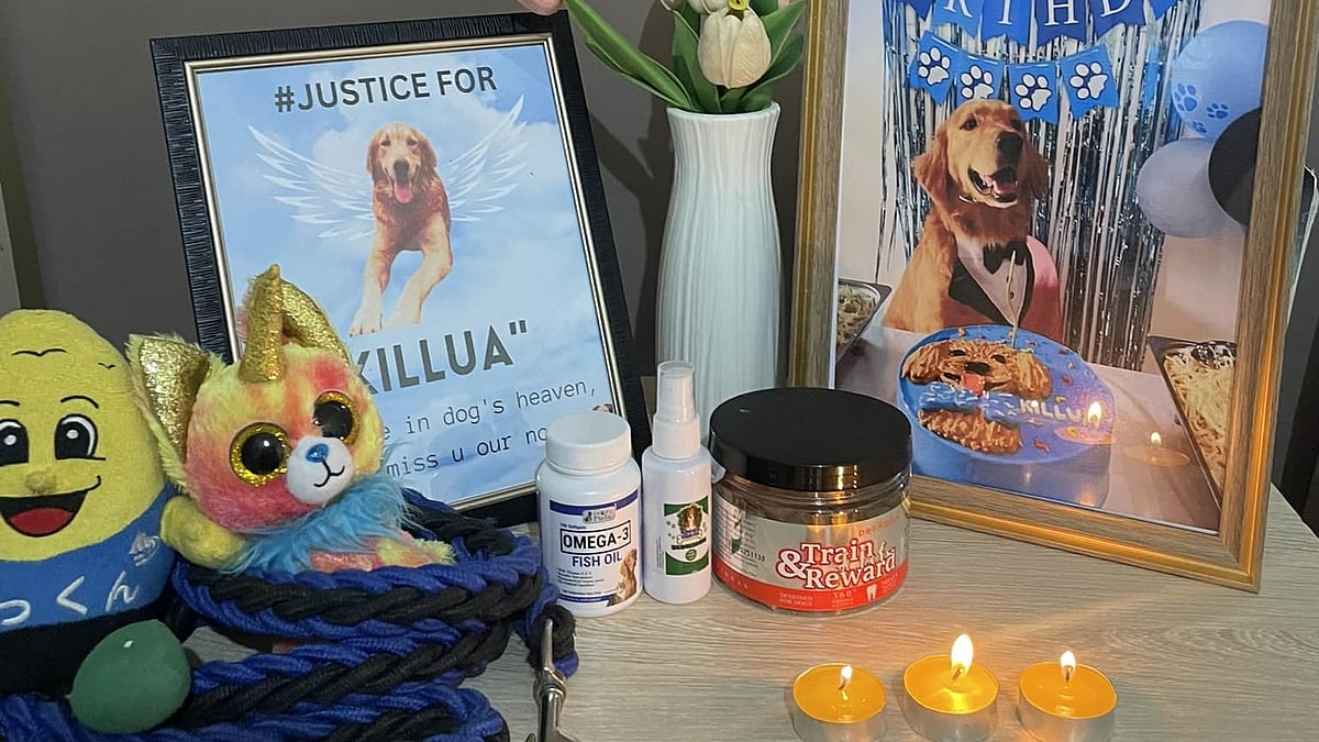 Senators condemn brutal killing of dog 'Killua'