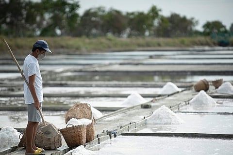 Marcos signs law establishing salt farms