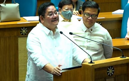 WPS tension could drive investments away — Libanan