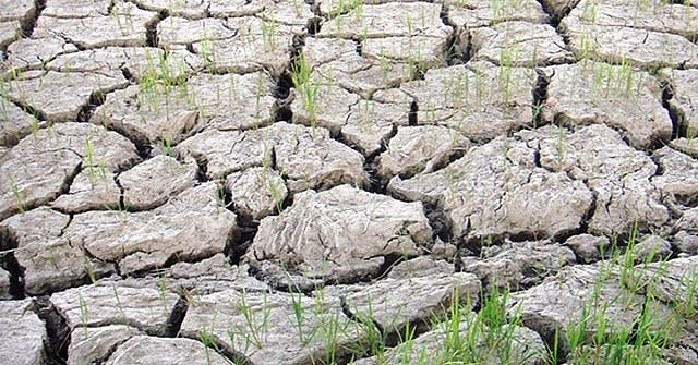 DA boosts drought defenses