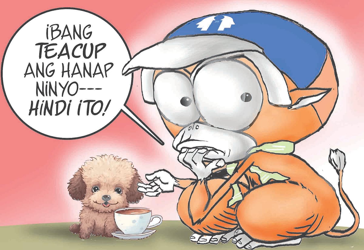 Toy ploy