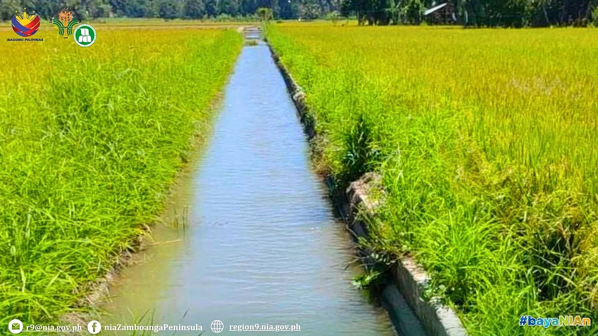 Government Increases Budgetary Support to State-Run Firms for ...