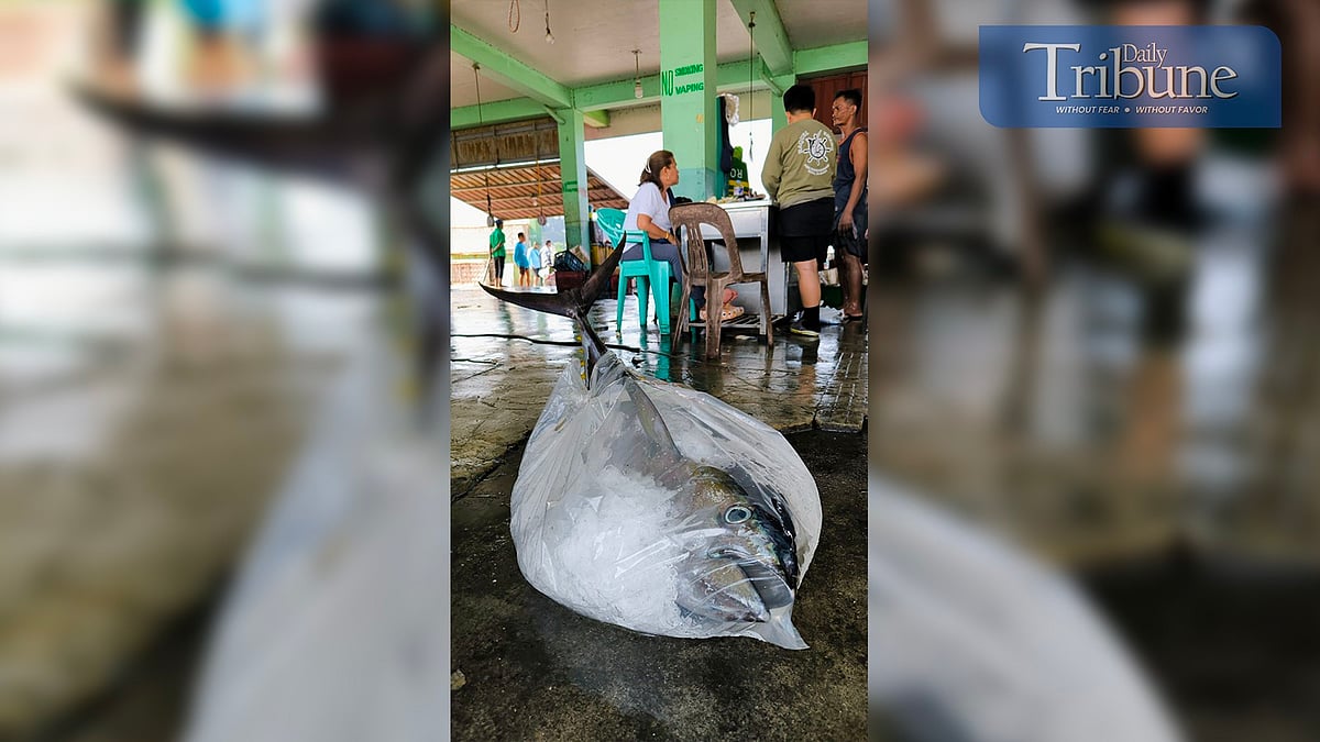 Fish trade at the Subic Town Fish Port