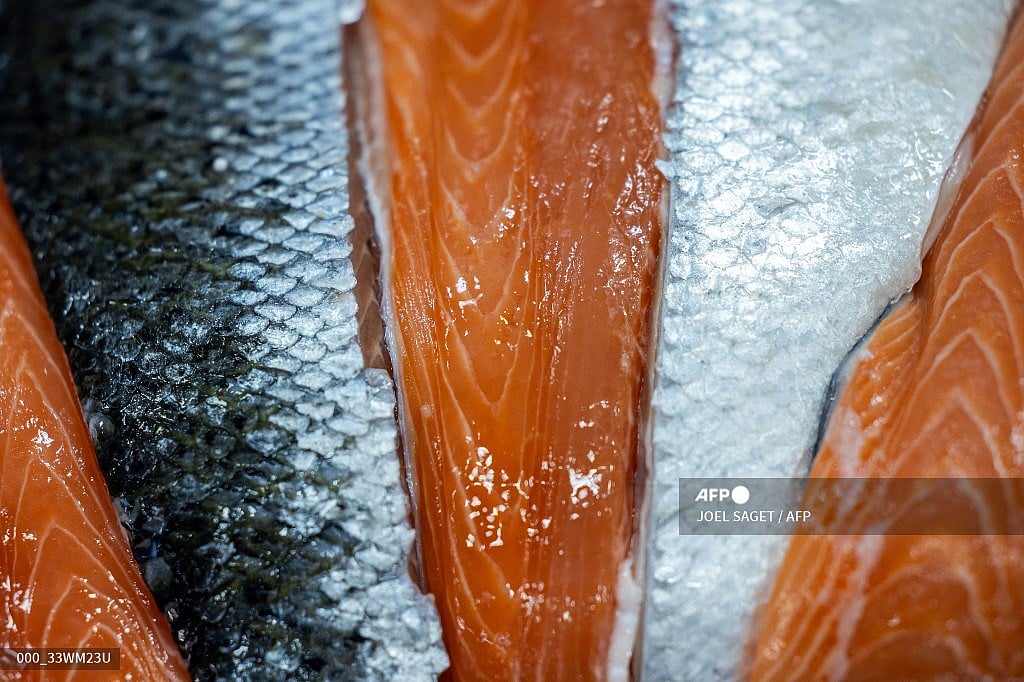 Salmon fishing off California's coast banned for second year in a row
