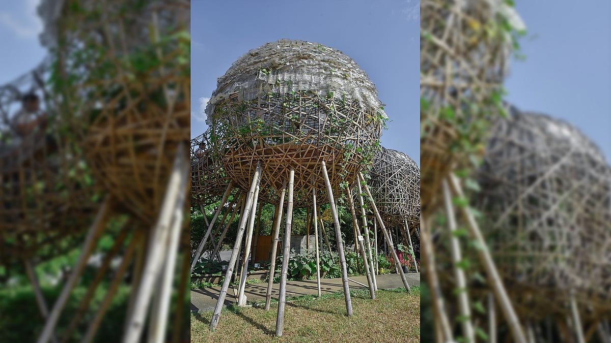 Function beyond the fantastical