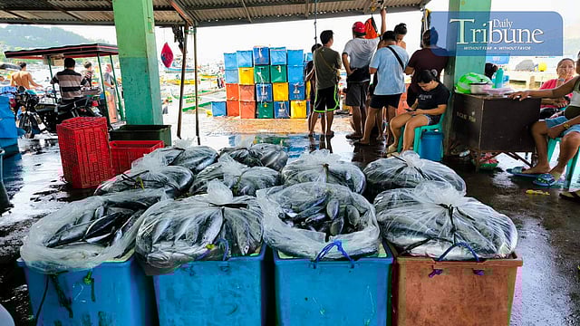 Fish trade at the Subic Town Fish Port