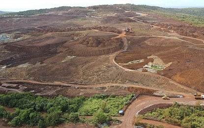 Task force to save historic Homonhon formed