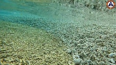 DoJ finalizing environmental complaint vs China — Clavano