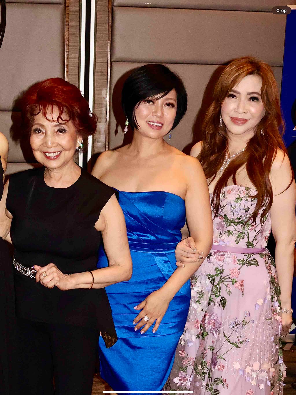 In good company at the George Washington Charity Ball