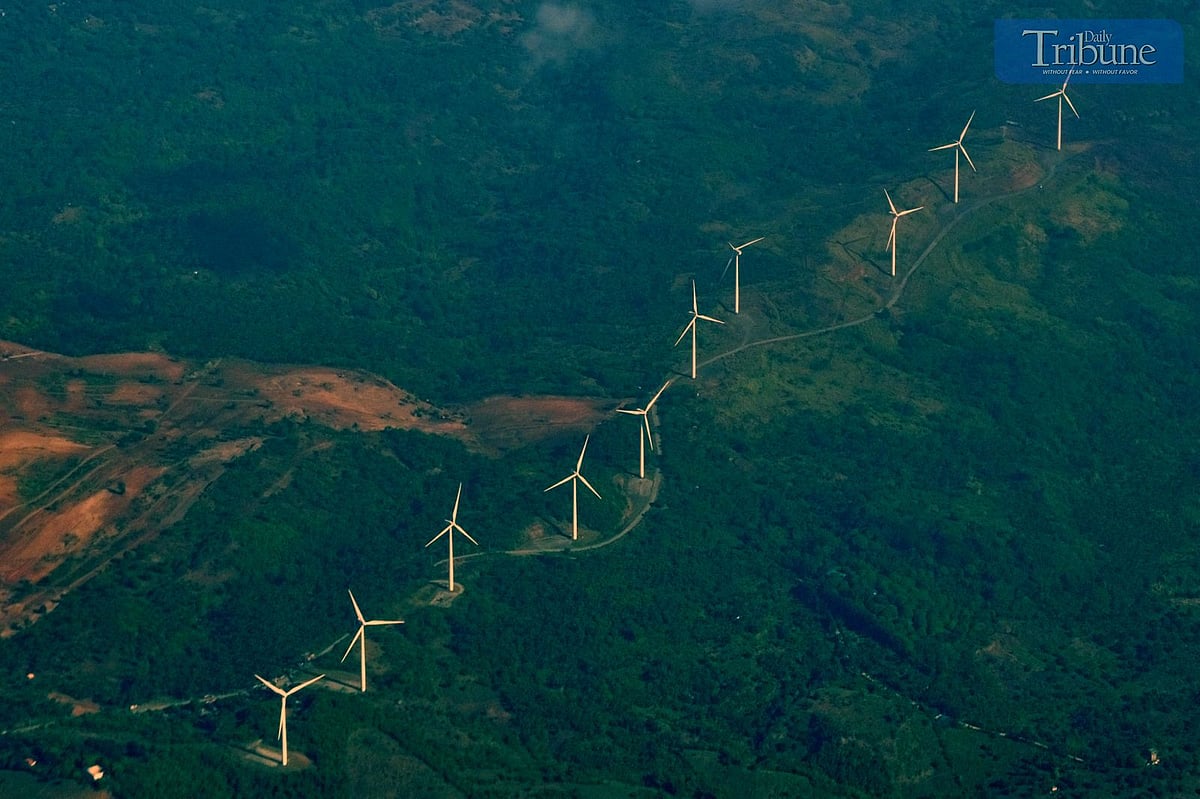 WINDMILLS ON MY MIND