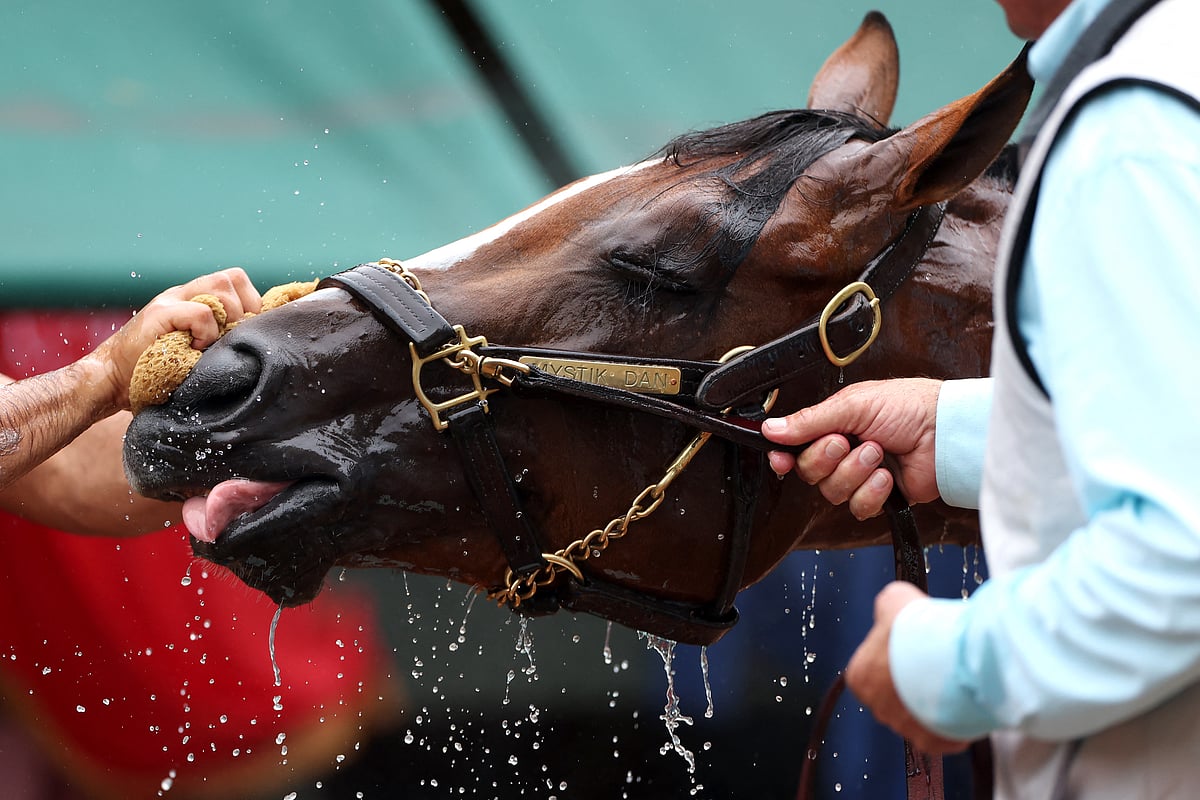 Mystik Dan eyes Preakness crown