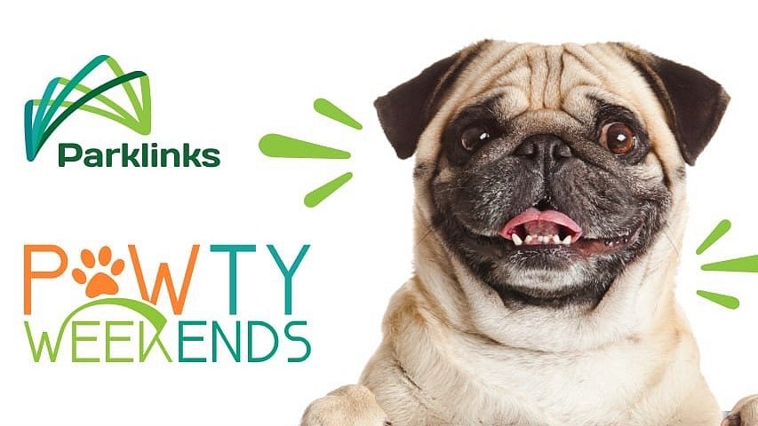 Parklinks Estate's Pet Park and PAWTY Weekends: A Celebration of Dogs ...