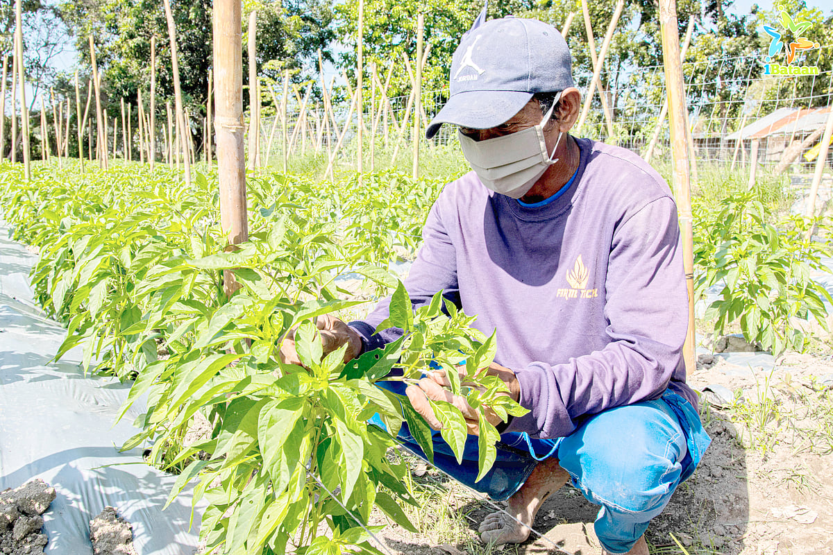 Israel props Philippine agri sector — and how?!