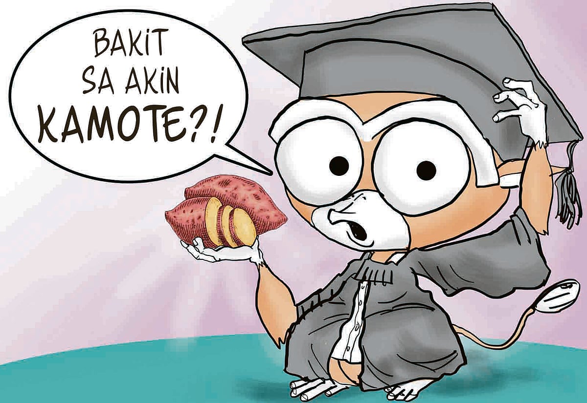 Graduation surprise