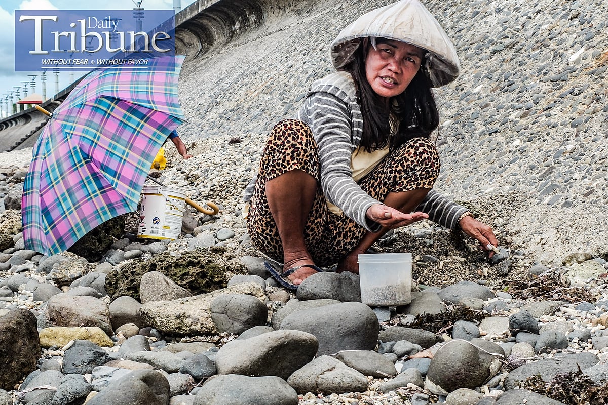 'EARLY BIRDS CATCH THE WORMS'