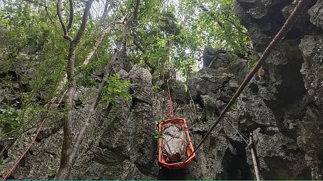 Bird's nest harvester dies in El Nido cave accident